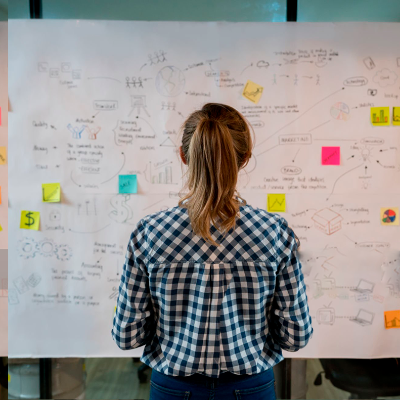 Novedades - Grupo Cenoa