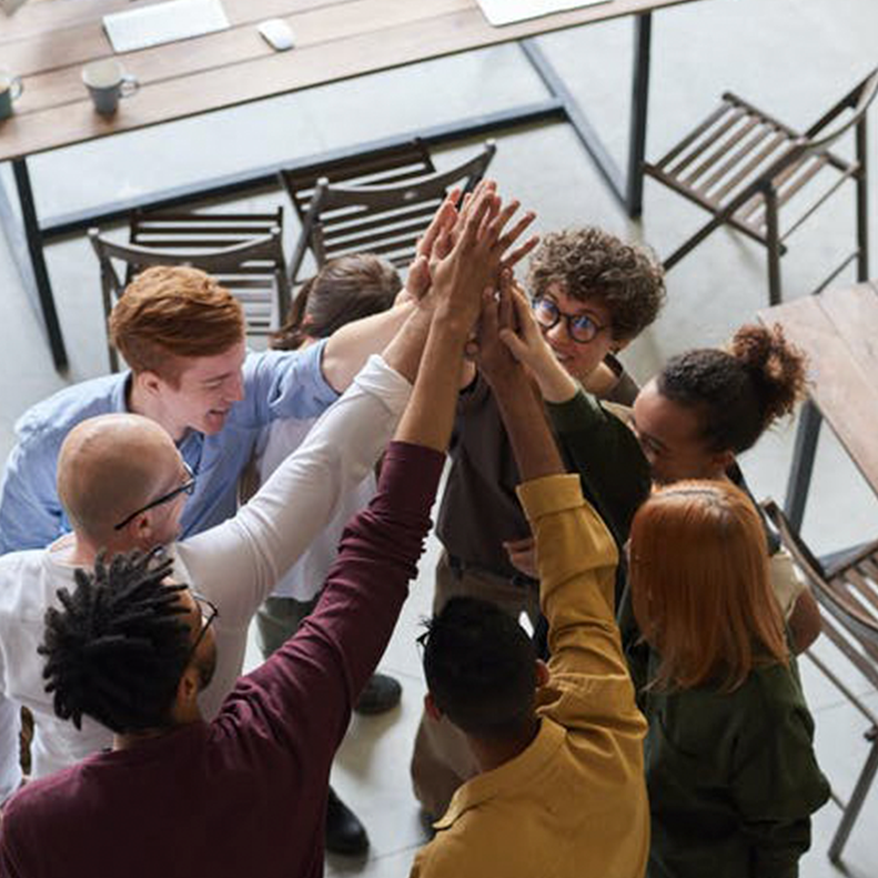 Novedades - Grupo Cenoa